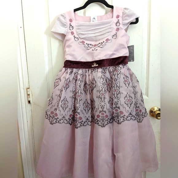 Disney | Costumes | Disney Princess Pink Costume | Poshmark